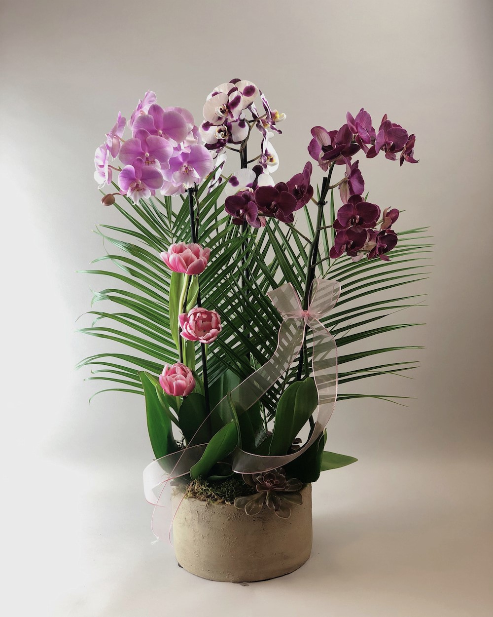 Orkide Çiçeği Nedir Ve Özellikleri Nelerdir? | Bleaves Floral